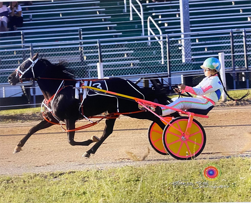 Martins Returns To Nappanee Raceway Action - Bernews