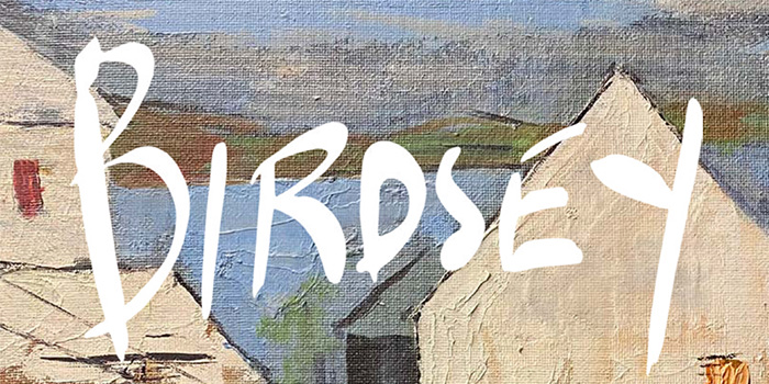 Birdsey's Retrospective Opens On November 14 - Bernews