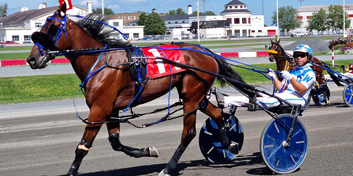 Waldron Back In Standardbred Action In Canada - Bernews