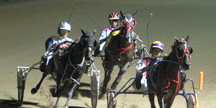 Weekend Harness Pony Racing Results - Bernews