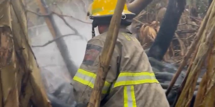 Video: BFRS Extinguish Brush Fire In Devonshire - Bernews