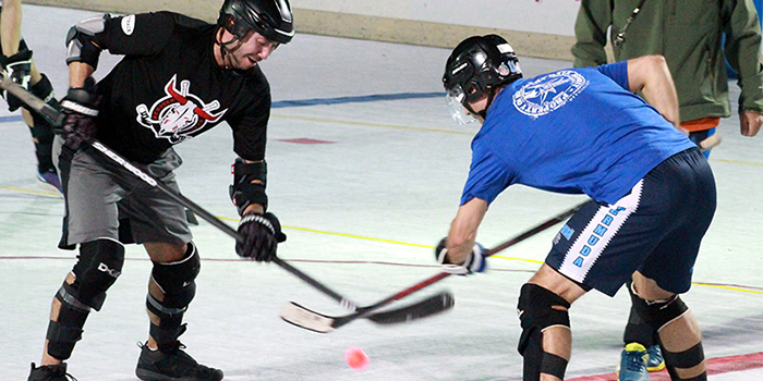 Bermuda Ball Hockey Standings & Stats Leaders - Bernews