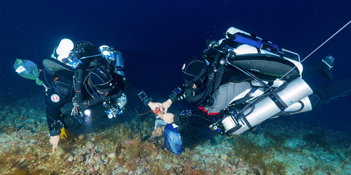 Divernet Highlights XL Catlin Deep Ocean Survey - Bernews