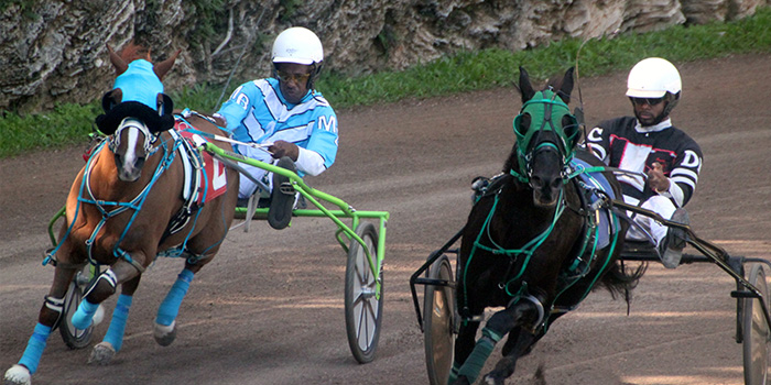 Bermuda Harness Pony Racing Results - Bernews