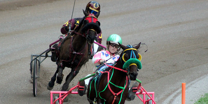 Bermuda Harness Pony Racing Results - Bernews