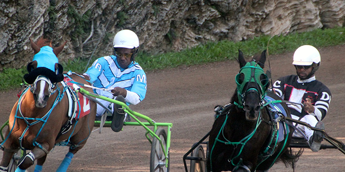 New Year's Day Harness Pony Racing Results - Bernews