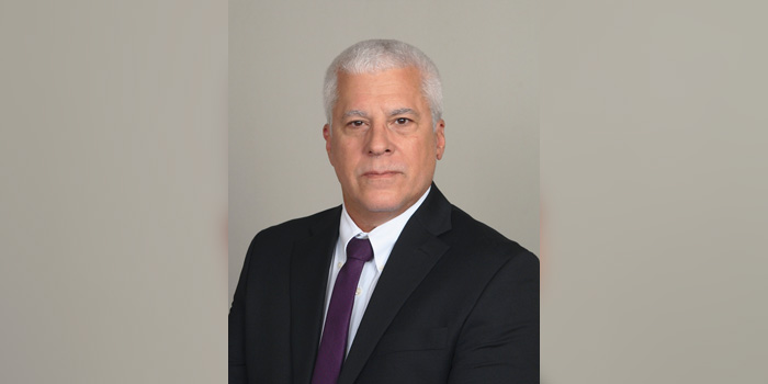 Treefrog Consulting Offer Virtual CTO Services - Bernews