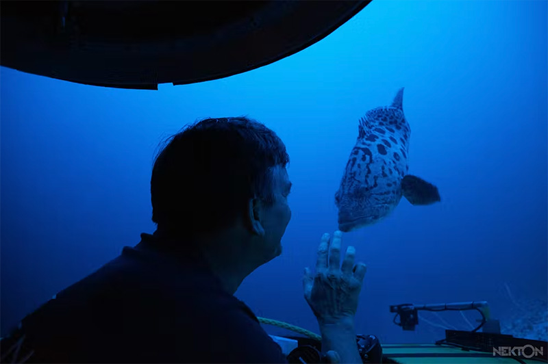 Column: Deep Sea Reefs Must Be Conserved - Bernews