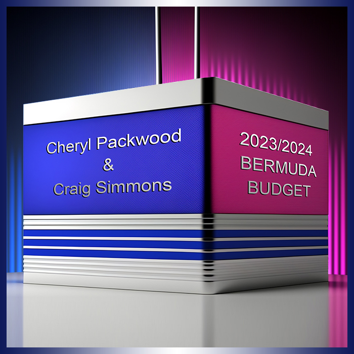 Video: Cheryl Packwood & Craig Simmons - Bernews