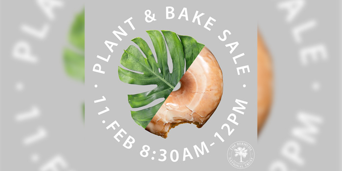 BNT Plant & Bake Sale To Be Held On Feb 11 - Bernews