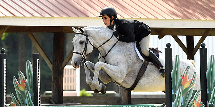 Nicholas Lopes Wins Equitation Class In Florida - Bernews