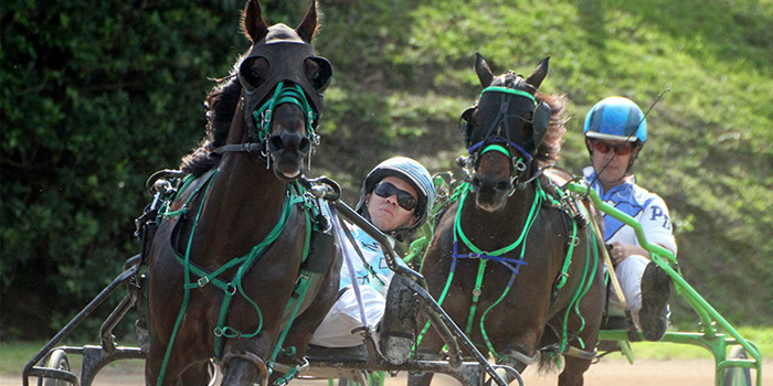 Harness Pony Champions Of Champions Results - Bernews