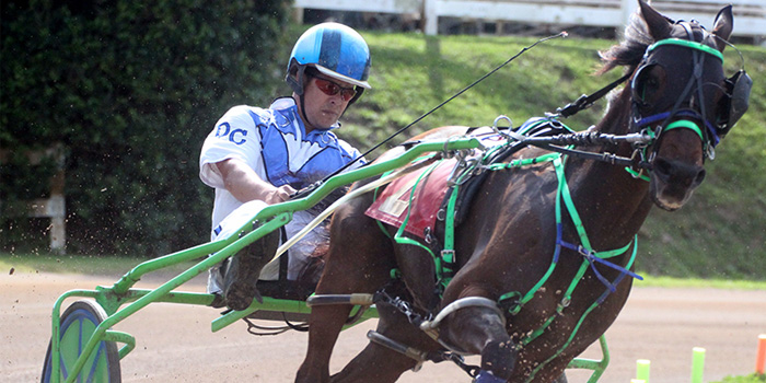 Harness Pony Champions Of Champions Results - Bernews