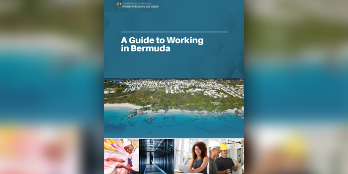 Govt Releases Guide To Working In Bermuda - Bernews
