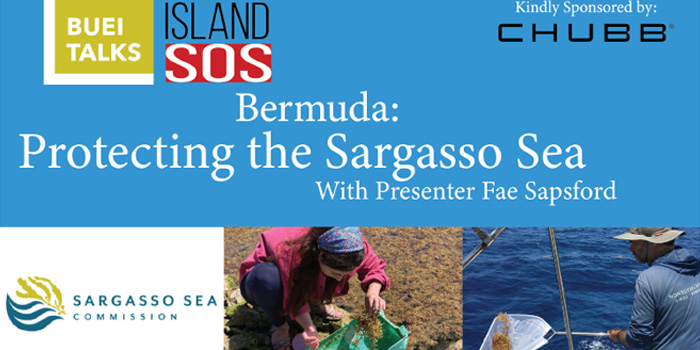 BUEI Island SOS Series Continues On April 2 - Bernews