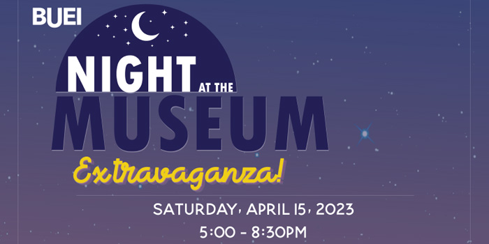 Night At The Museum Extravaganza At BUEI - Bernews