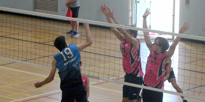 BVA Host Spring Smash Volleyball Tournament - Bernews