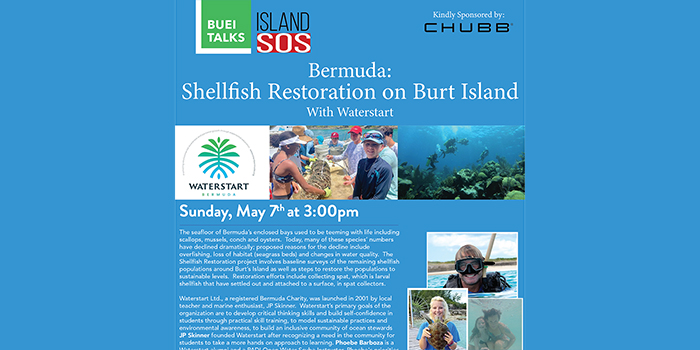 BUEI Talks To Hold ‘Island SOS’ On May 7 - Bernews