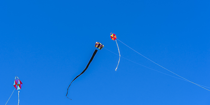 Photos/Video: Kite Flying At Elbow & Astwood - Bernews