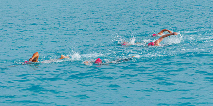 Photos & Video: Squid Pro Quo Swimming Event - Bernews