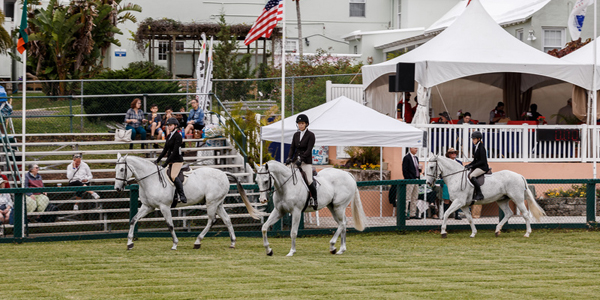 Photos, Video, 360: BEF's Welcome Home Show - Bernews