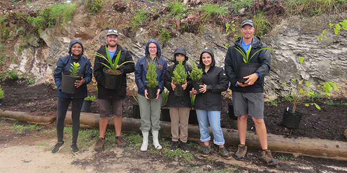 Students Partner With BZS To Build Micro Forest - Bernews