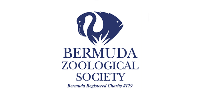 BZS Awarded $62,800 Darwin Plus Grant - Bernews