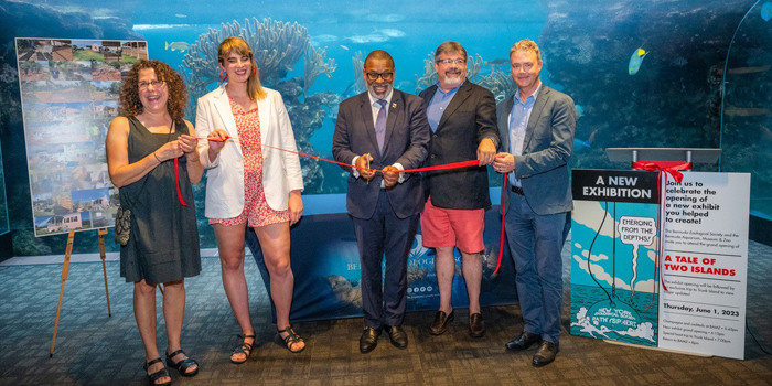 BAMZ Opens 'A Tale Of Two Islands' Exhibit - Bernews