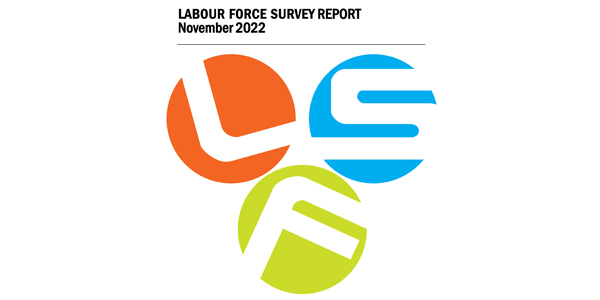 Video: Labour Force Survey Report Released - Bernews