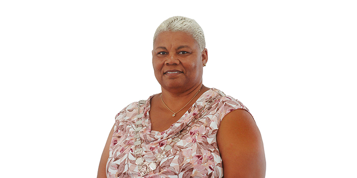 Mayor Francis To Lead Preservation Authority - Bernews