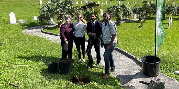 Tree Planted In Honour Of Bermuda Is Love - Bernews