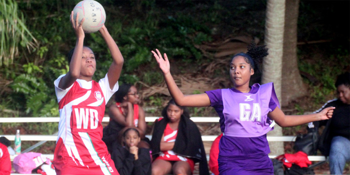 Netball: BNA Youth & Senior Division Results - Bernews