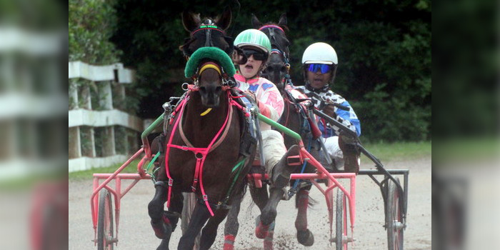 Boxing Day Harness Pony Racing Results - Bernews