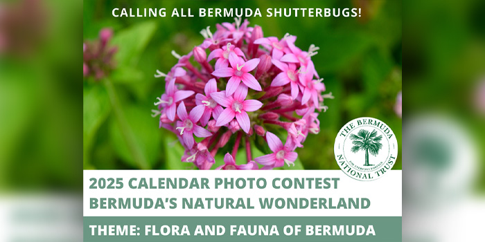 BNT Call For Entries In Calendar Photo Contest - Bernews