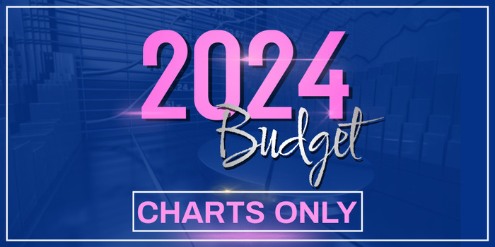 Charts Only: 2024-2025 Bermuda Budget - Bernews