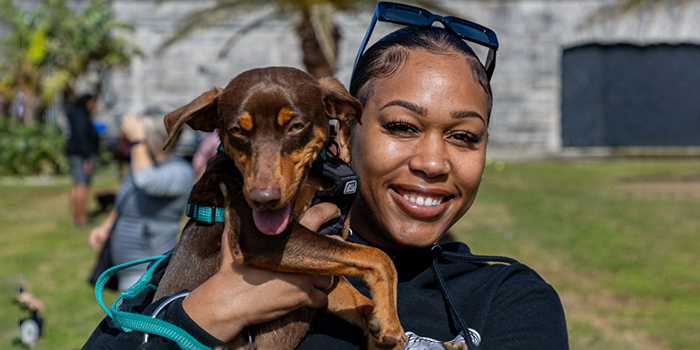Photos & Video: Bermy Barkus Dog Parade - Bernews