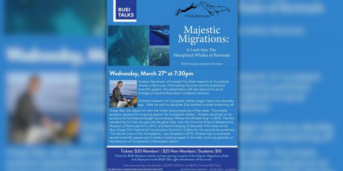 BUEI Talks To Host Humpback Whales Exhibit - Bernews