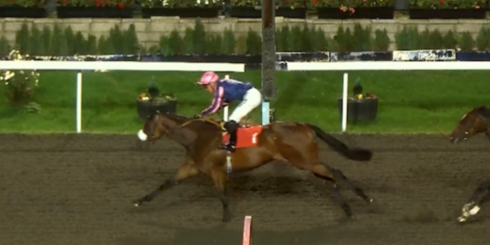 Bermuda Longtail Wins At Kempton Park - Bernews