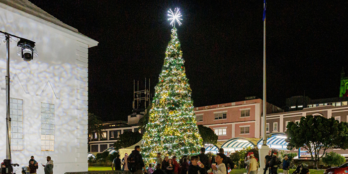 Photos & Video: Rockin' Around The City Tree - Bernews