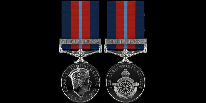 Service Medal Established To Honor Soldiers - Bernews