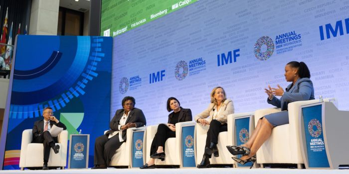 Column: Debt Swap, IMF & Climate Solutions - Bernews