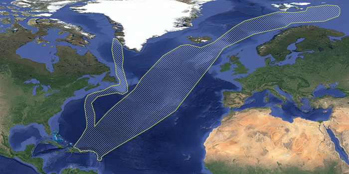 Humpback Whale Migration Corridor Approved - Bernews