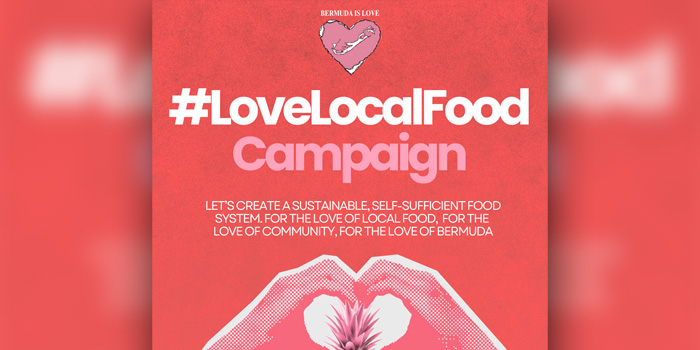 Bermuda Is Love ‘LoveLocalFood’ Campaign - Bernews