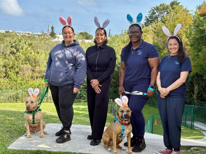 SPCA’s 'Paws To The Park' Set For April 13 - Bernews