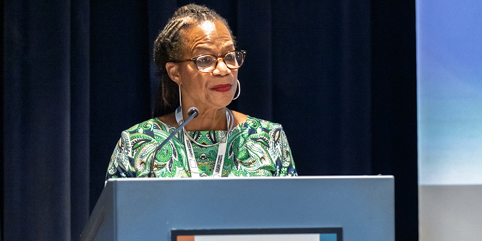 Minister Opens Bermuda Infrastructure Summit - Bernews