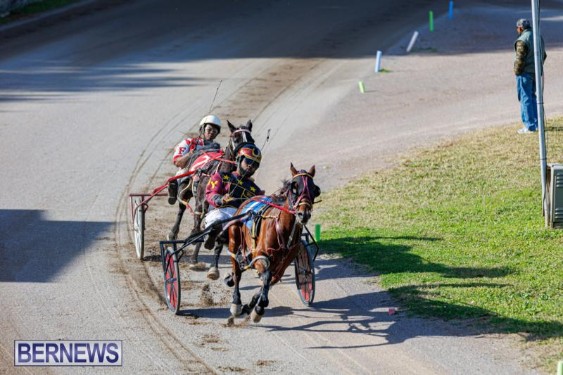 Photos & Video: Harness Racing On Boxing Day - Bernews