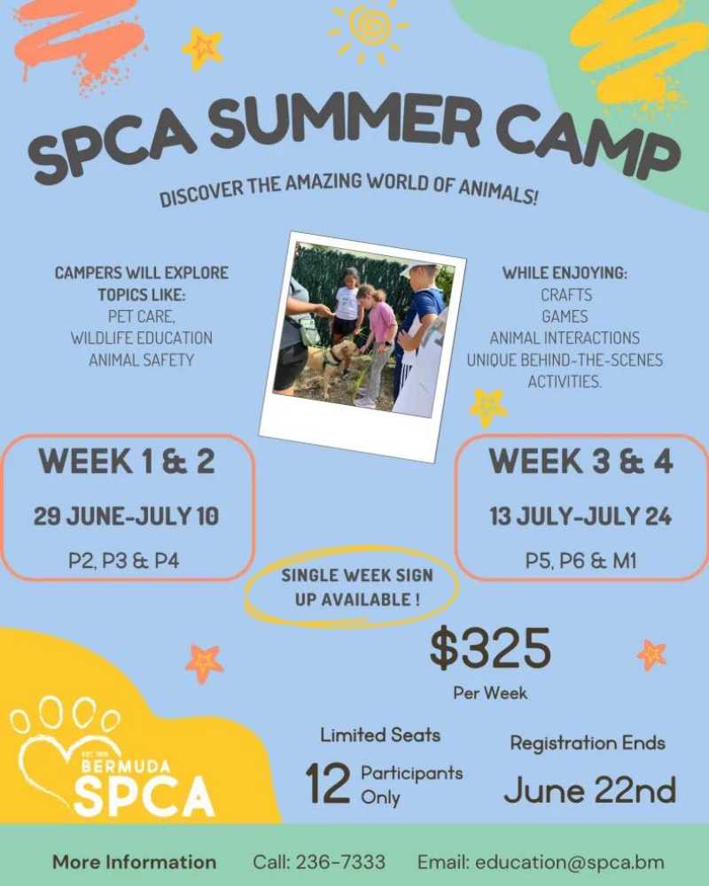 SPCA Summer Camp Set For June 29-July 24 - Bernews