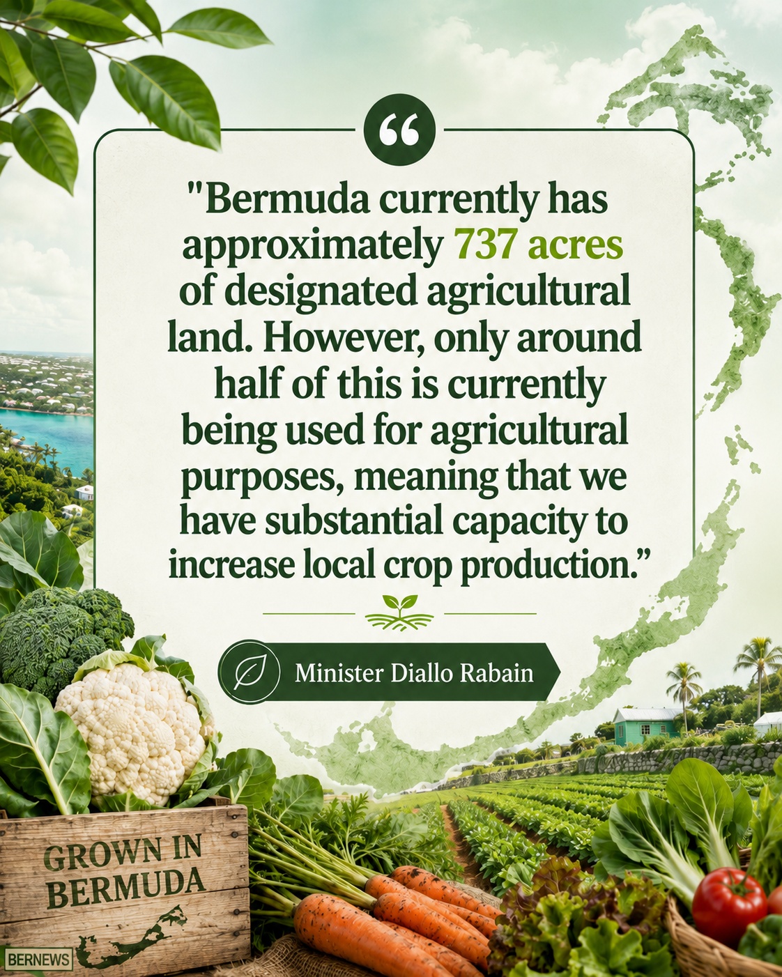Minister Diallo Rabain On Grow Local Initiative - Bernews