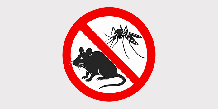 Reduce Rodent Activity & Mosquito Breeding - Bernews